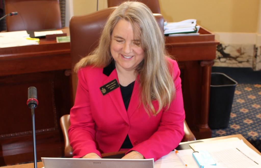 Work plan for state bridge and road projects unveiled - Maine Senate ...